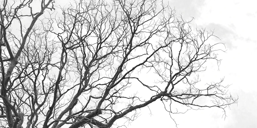 ISIS may be gone, but Mosul still faces a long winter ahead | Catholic ...