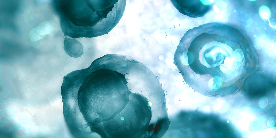 4 out of 5 Americans have concerns with embryonic screening, study ...