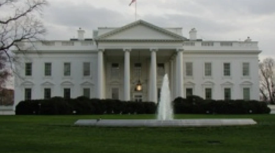 Executive Branch Definition