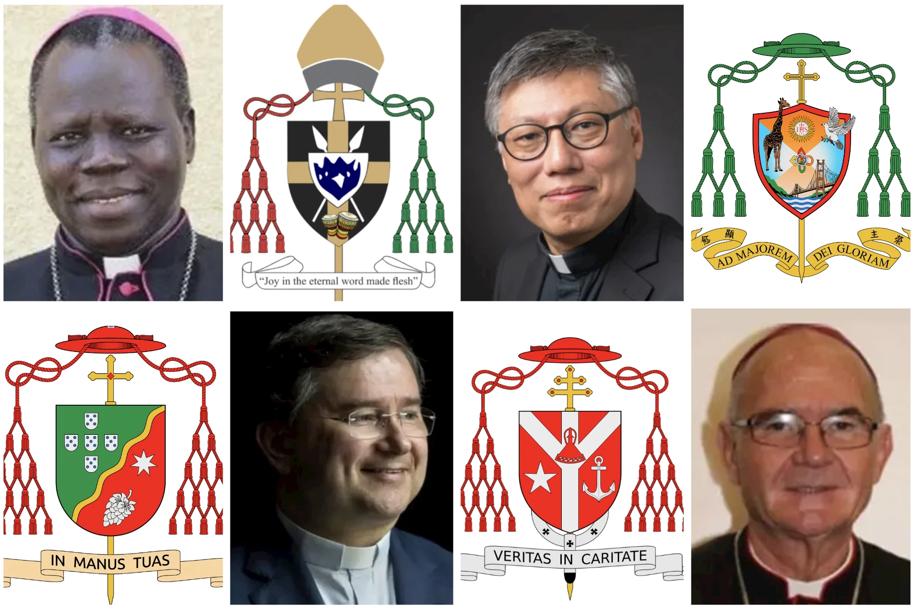 Catholic Church’s new cardinals explain why they chose their spiritual ...