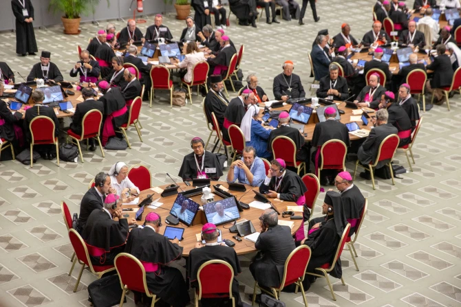 This week at the Synod on Synodality: Deliberations and veiled agendas ...