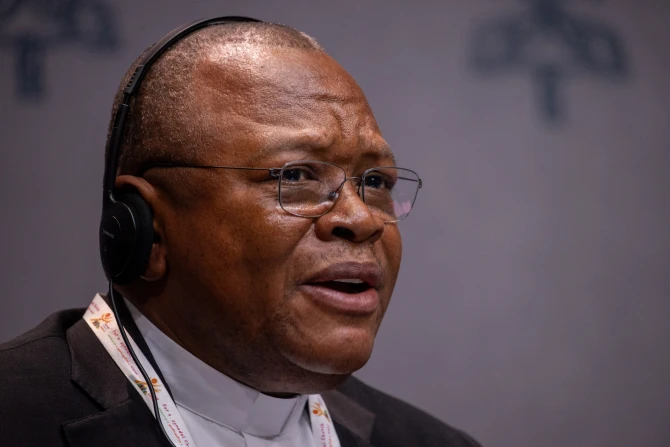 Cardinal Fridolin Ambongo raises questions on ‘hasty beatification ...