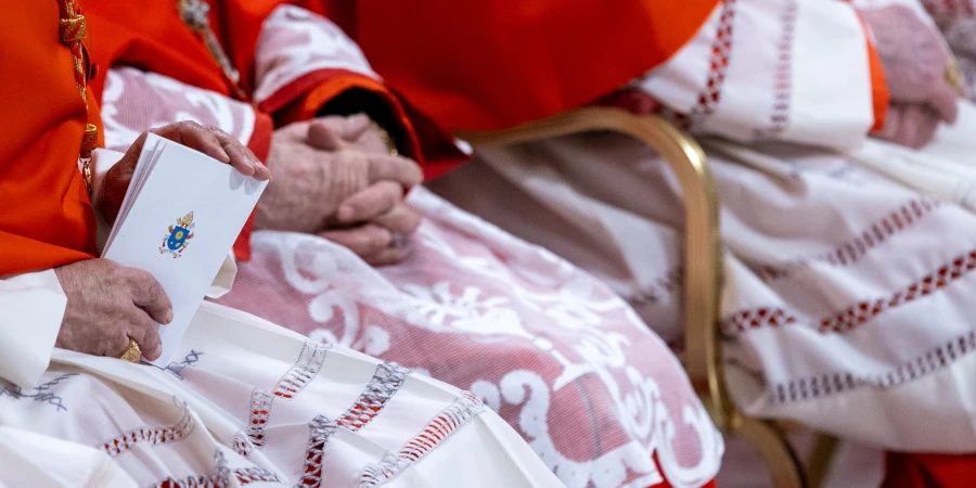 Cardinal consistory analysis: Record number of electors set to shape ...