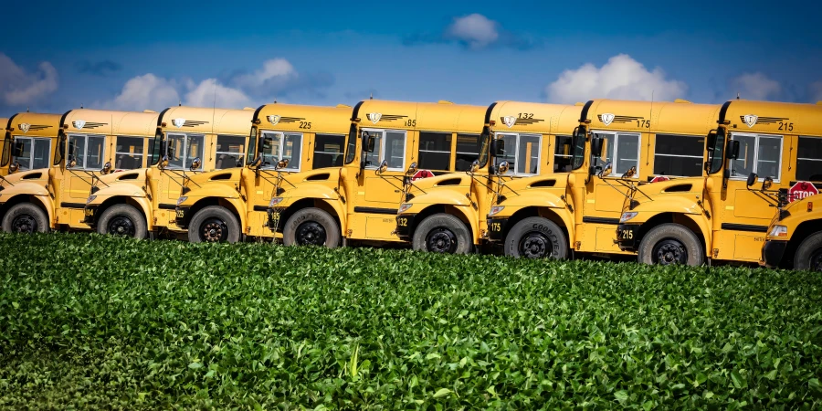 New Iowa ‘school choice’ program a boon for Catholic schools, bishop ...