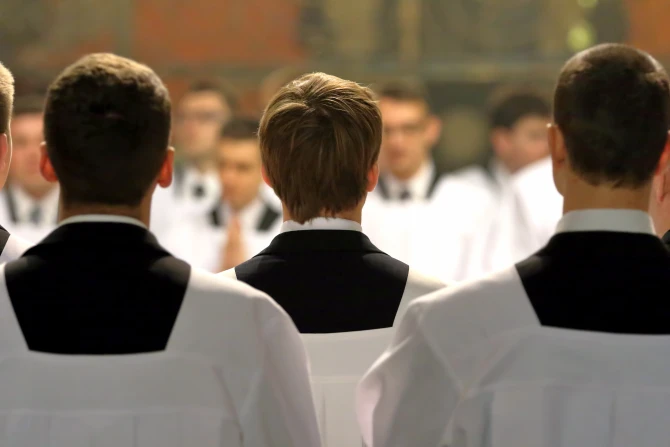 CARA survey: New priests are young and involved in their community ...
